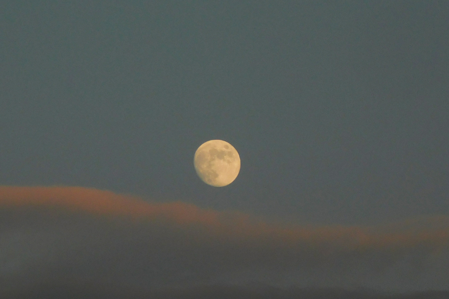 What is a Moon Day? - Ashtanga Yoga